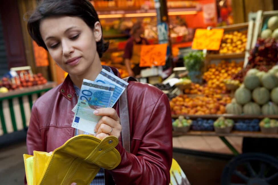 What Countries Use the Euro? | Remitly
