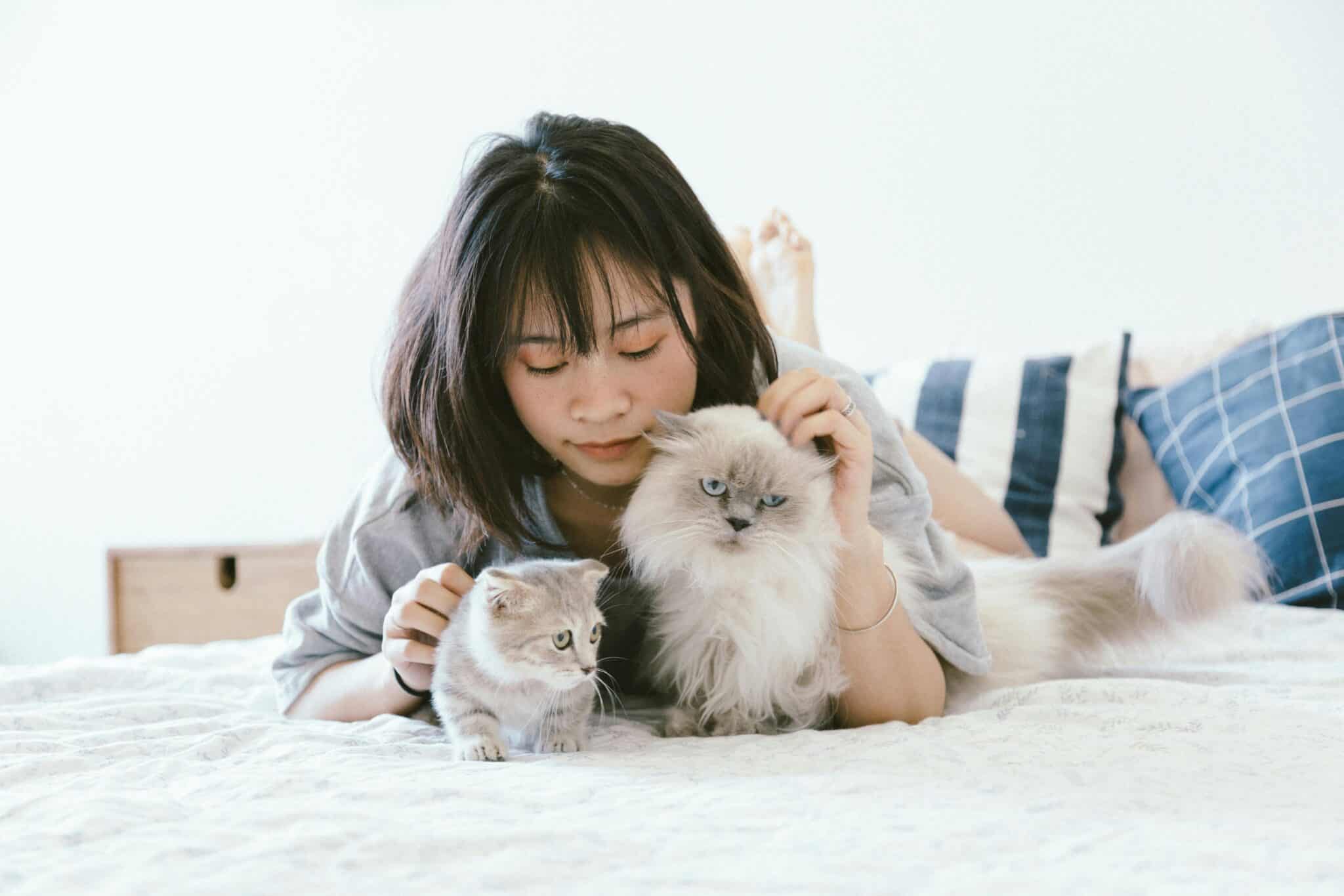 A Guide to Moving to Europe with Pets | Remitly