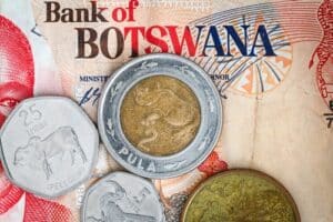 Botswana Pula Overview | History and Value Explained | Remitly