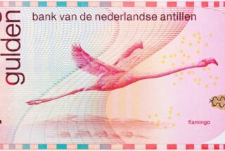 Netherlands Antillean Guilder Explained | Remitly