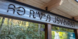 Cherokee Alphabet: Syllabary Structure and Usage - Beyond Borders